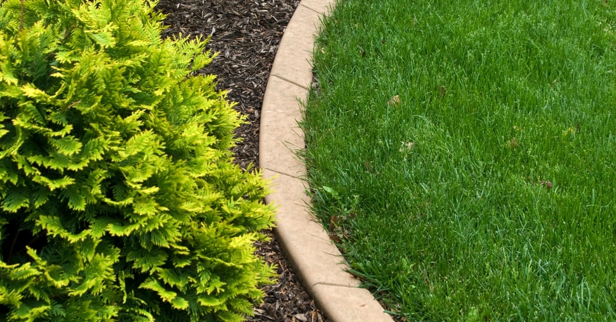 Best Concrete Curbing Styles for Stunning Landscapes